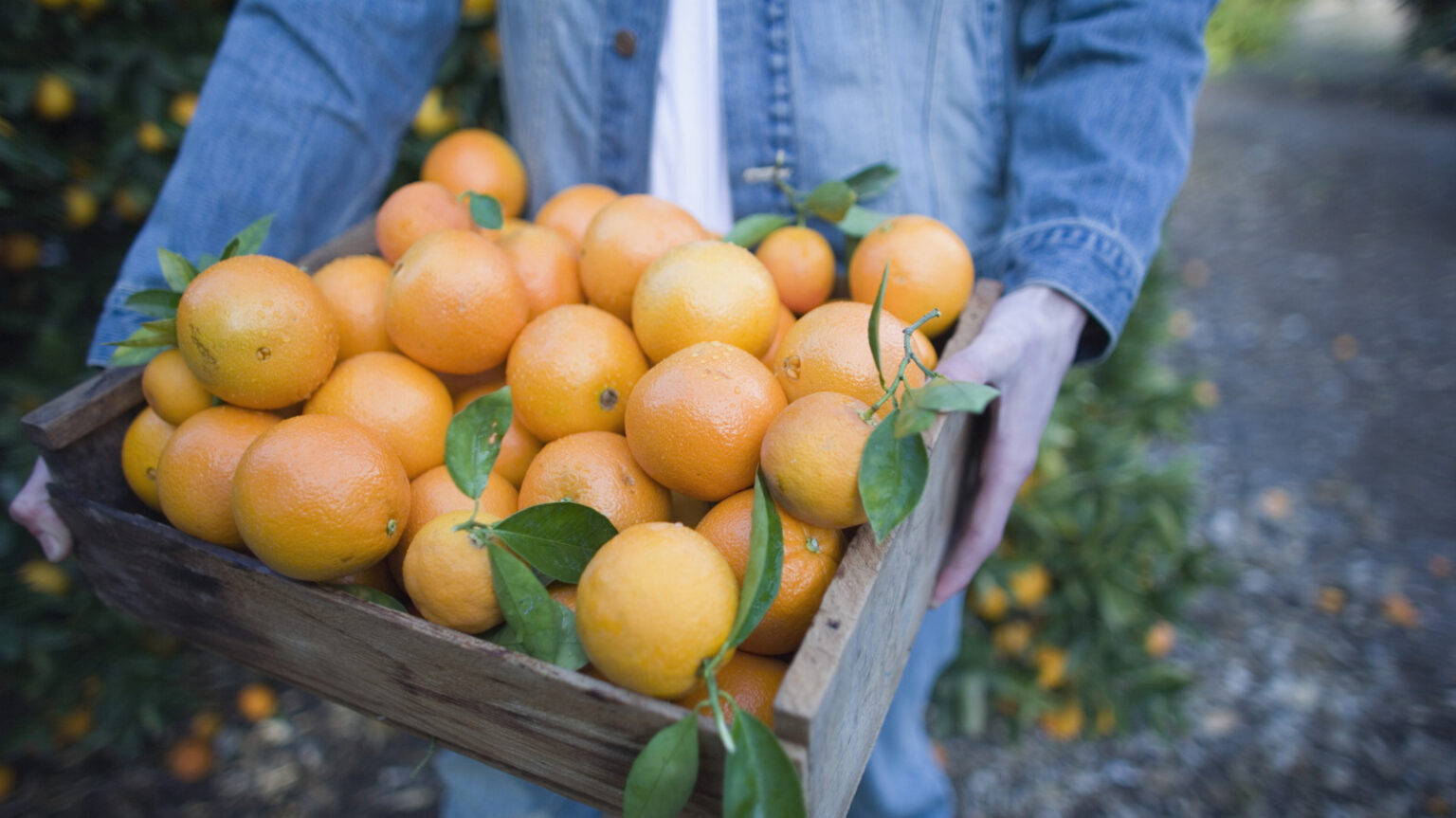 4 alimentos que tienen más vitamina C que las naranjas - Manzanillo News Mx